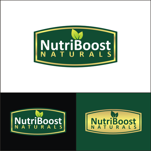 NutriBoost Naturals | Logo design contest