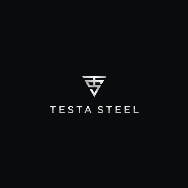 Design a powerful logo for testa steel. | Logo design contest