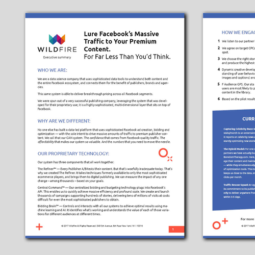 digital agency executive summary | Poster contest