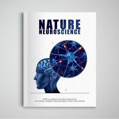 Illustration for the cover of prestigious neuroscience journal, Nature ...