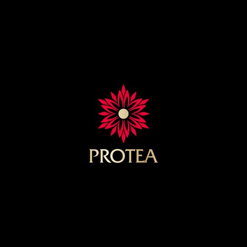 Designs | PROTEA logo--supporting programming to prevent and treat ...