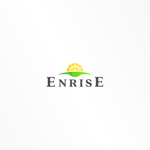"Enrise" needs a powerful new logo!! And we accept if you put En and rise in diff styles! Logo ...