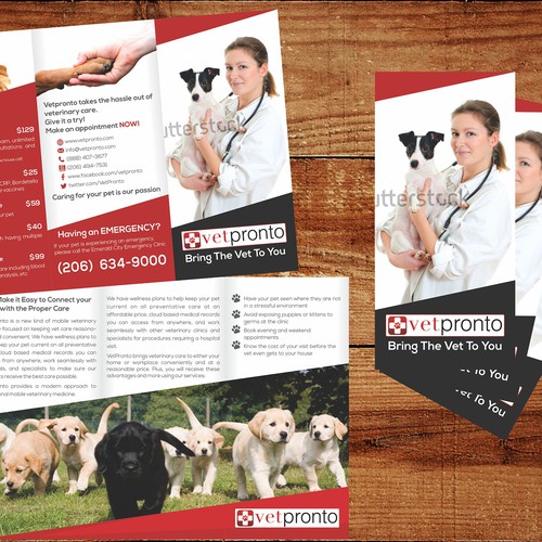 Designs | Create a brochure for our startup "VetPronto - Mobile ...