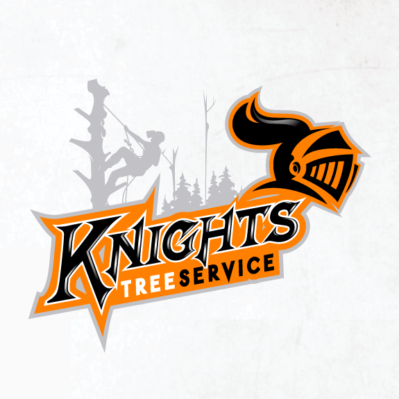 History Logos - Free History Logo Ideas, Design & Templates