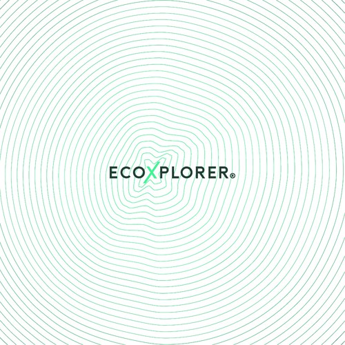 Designs | "EcoXplorer," your sustainable sneaker brand. | Logo ...