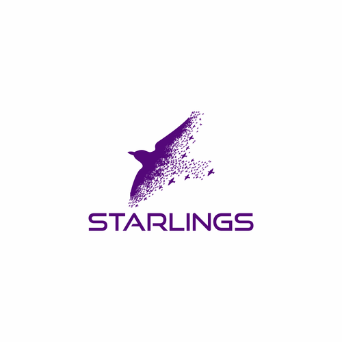 Create a murmuration-inspired logo for Starlings! | Logo & brand ...
