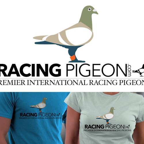 Racing Pigeon Logo Design