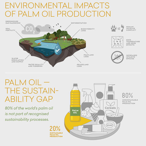 Infographic telling the story of palm oil impacts on biodiversity ...