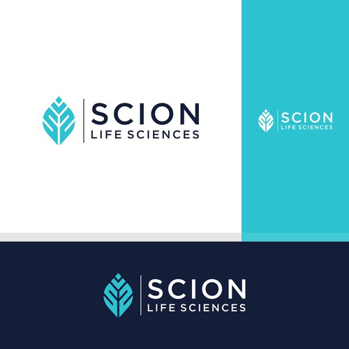 Designs | Putting the Finishing Touches on Our Life Sciences Company ...