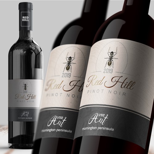 Ant Designs: the Best Ant Image Ideas and Inspiration | 99designs