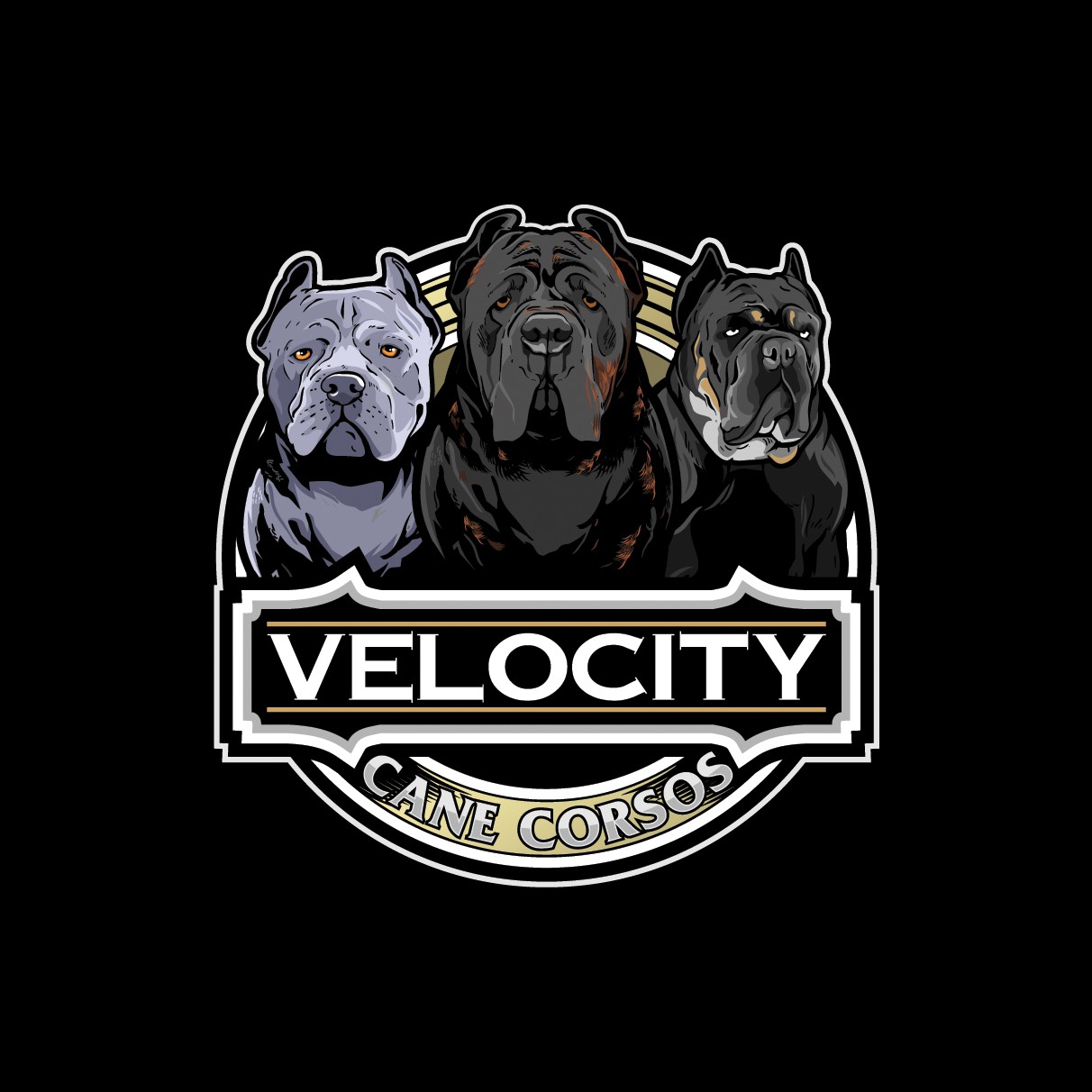 Velocity Logos - Free Velocity Logo Ideas, Design & Templates