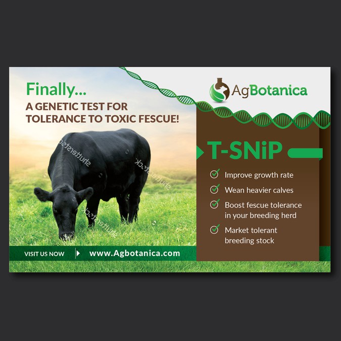 Genes for Happy Cows - ad needed | Postcard, flyer or print contest