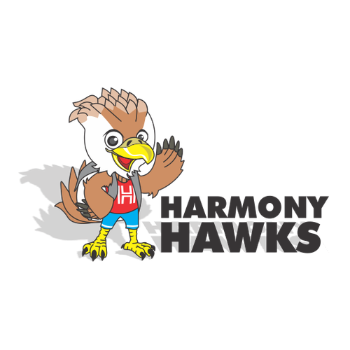 Kid friendly Hawk mascot that will promote Hawks rising to excellence ...