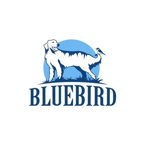 Designs | Bluebird | Logo design contest