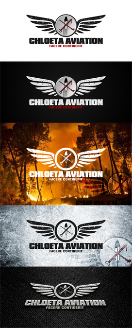 Create a fire aviation logo to be used nationwide! | Logo design contest