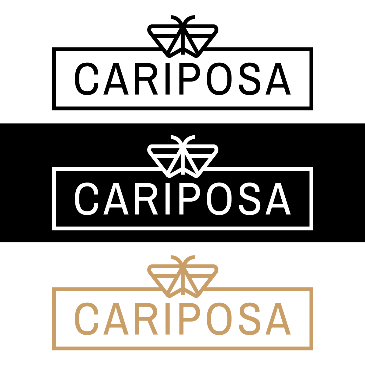 Cap Logos - Free Cap Logo Ideas, Design & Templates