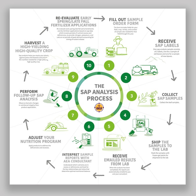Plant Sap Analysis Infographic | concurso Infografía