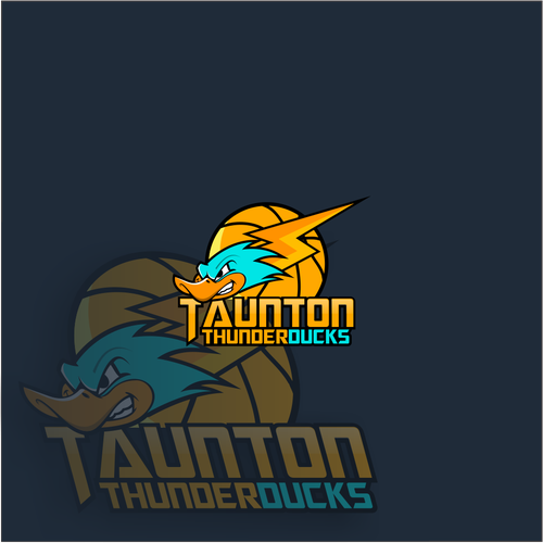 Create Logo for special olympics basketball team - the Thunderducks ...