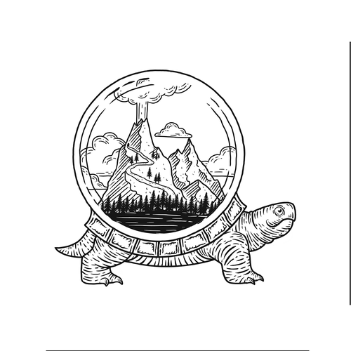 Designs | Medieval Turtle Illustration for a Philosophy Newsletter ...