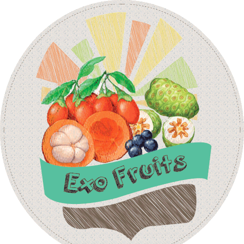 logo for Exo Fruits | Logo design contest