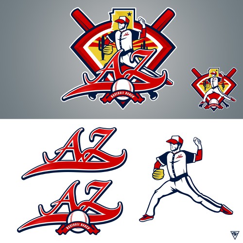 High-End Baseball Pitching Instruction Business - Logo and Business ...