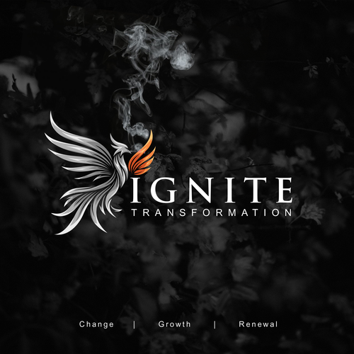 Designs | Change lives, brand needed for Ignite Transformation. The ...