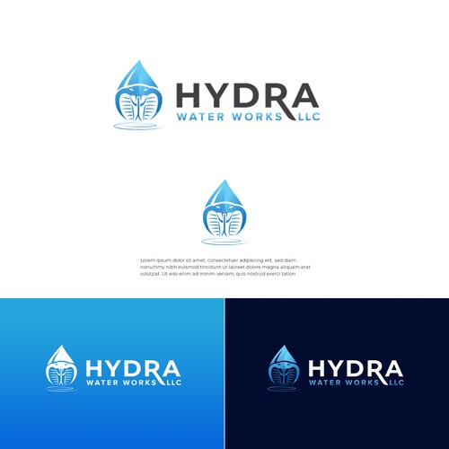 Designs | Hydra Water Works LLC Power Washing Logo Design | Logo design ...