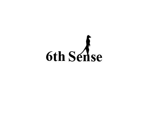 6th Sense | Logo design contest