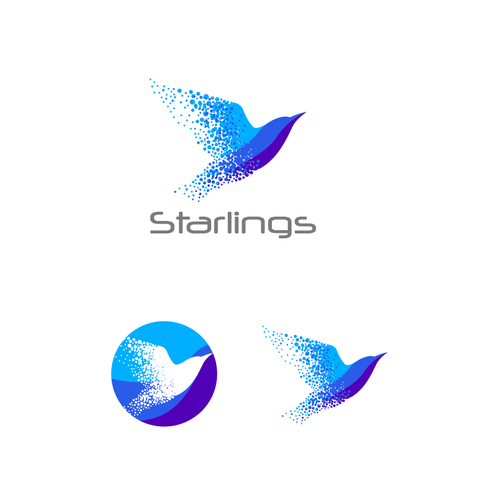 Create a murmuration-inspired logo for Starlings! | Logo & brand ...