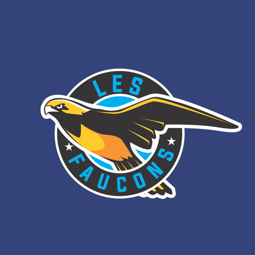 The Falcons LOGO for our Elementary School Sport Teams | Logo design ...
