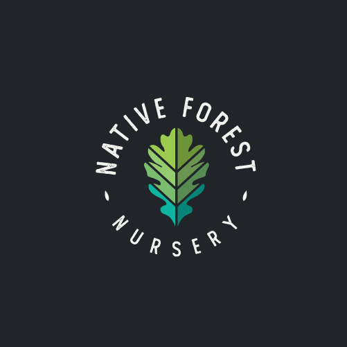 Forest Logos - Free Forest Logo Ideas, Design & Templates