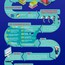 Infographic Design - Infographic Designers - Create Infographics ...