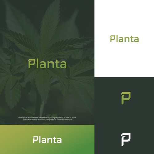 Create a simple unique logo for a cannabis propagation nursery | Logo ...