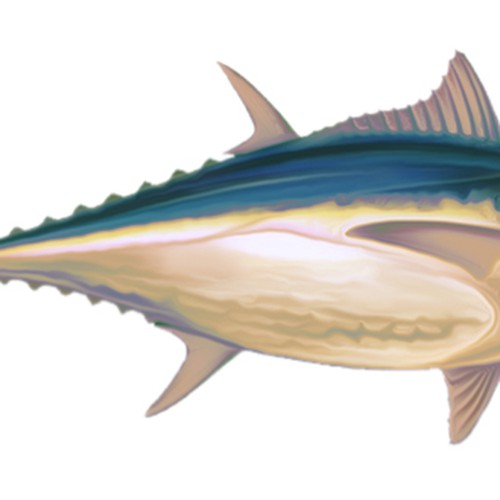 Saltwater Sport Fish design - Blackfin Tuna - for tournament flyer and ...