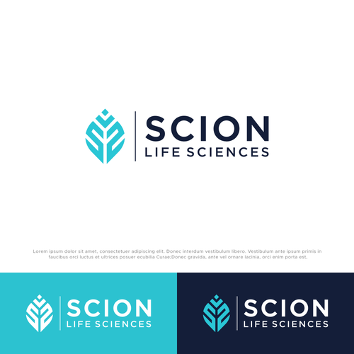 Designs | Putting the Finishing Touches on Our Life Sciences Company ...