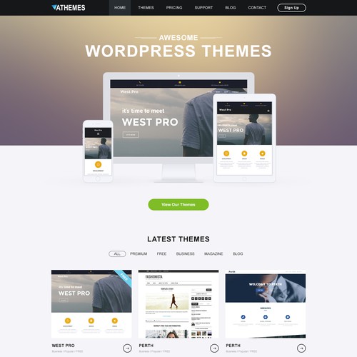 Re-design a popular WordPress theme shop website | WordPress theme ...