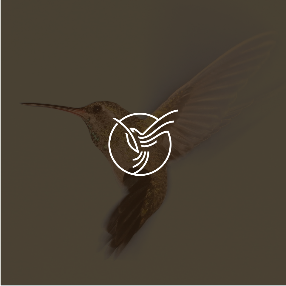 Hummingbird Logos - Free Hummingbird Logo Ideas, Design & Templates