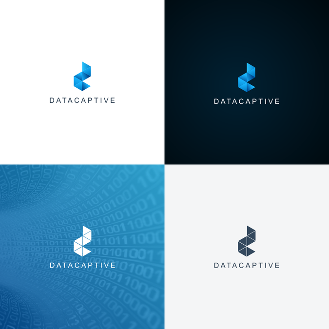 Design a unique, eye catching and memorable logo for a Big Data Startup ...