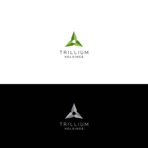 Trillium Holdings Web and Logo Design | Logo & hosted website contest