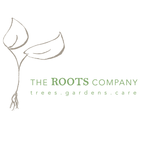 Logo and brand definition for The Roots Company Ltd, a trees, woodland ...