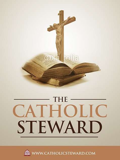 book or magazine cover for Catholic Stewardship Consultants | Book ...