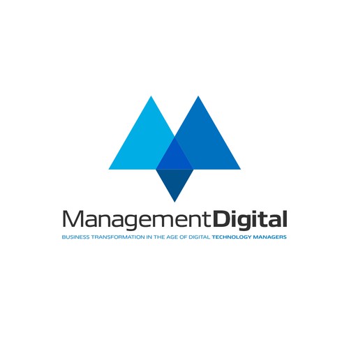 Logo for a small management consulting company focusing on Digital ...