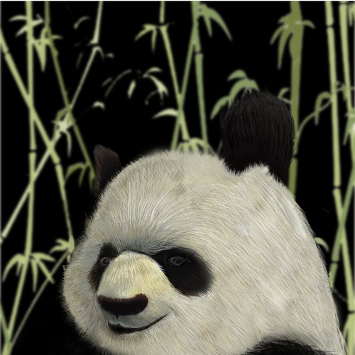 Smirking Panda Illustration | Illustration or graphics contest