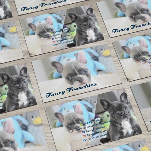 Fancy Frenchies | Business card contest