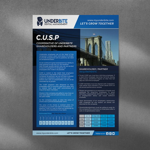 Designs | Company Stock Grant Plan Infographic Flyer/document ...