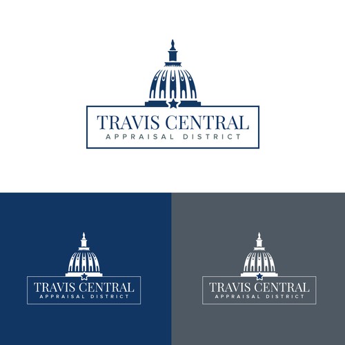 Travis Central Appraisal District logo | Logo & brand identity pack contest
