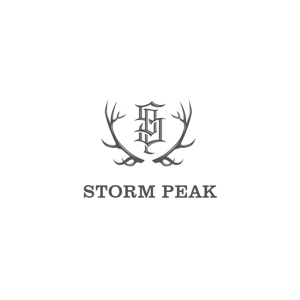 Storm Logos - Free Storm Logo Ideas, Design & Templates