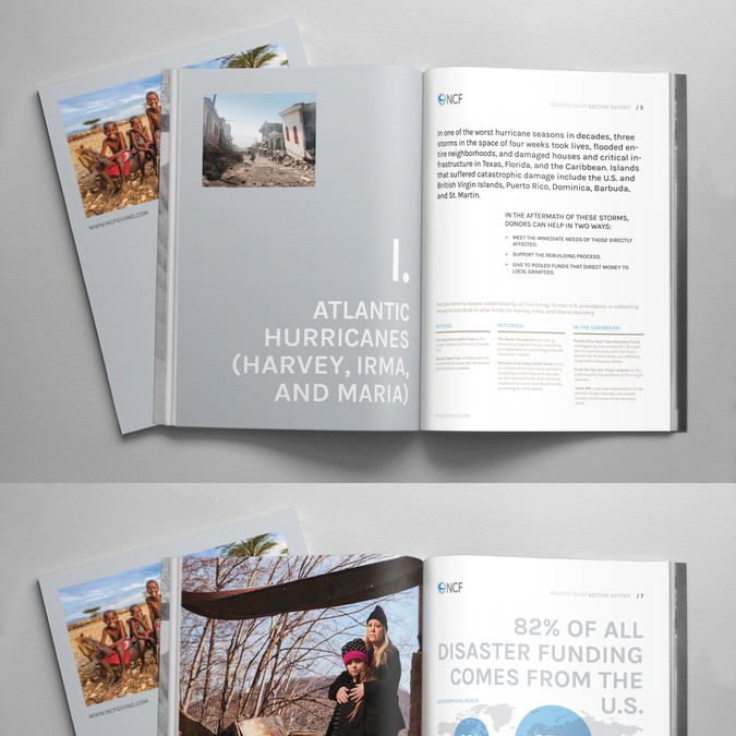 Disaster Relief Sector Report | Brochure contest