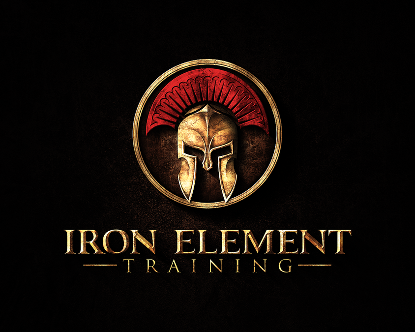 Create a winning logo for a firearms and self defense training company ...