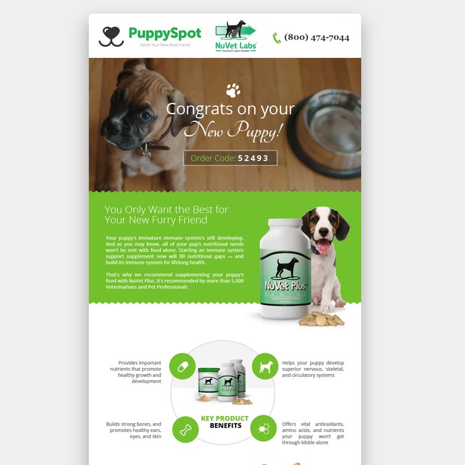 Creative email template for Puppy suplements | Email contest